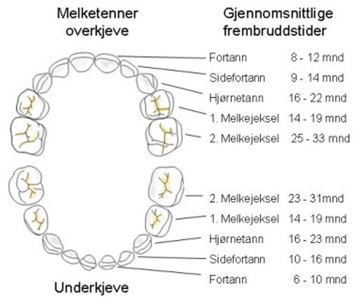 Tenner hos barn - Helsenorge